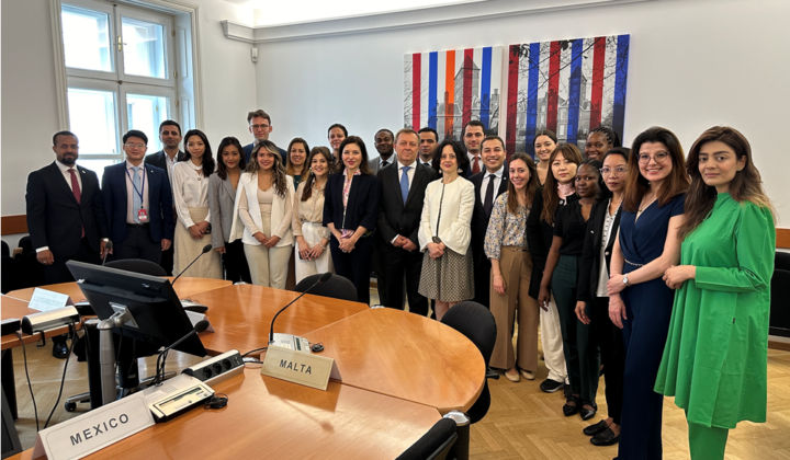 Armi: Amb. Lepre, programma di fellowship Wassenaar investimento sul ...